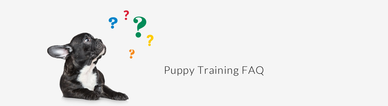 Puppy Training FAQ • Ultimate Puppy : Ultimate Puppy