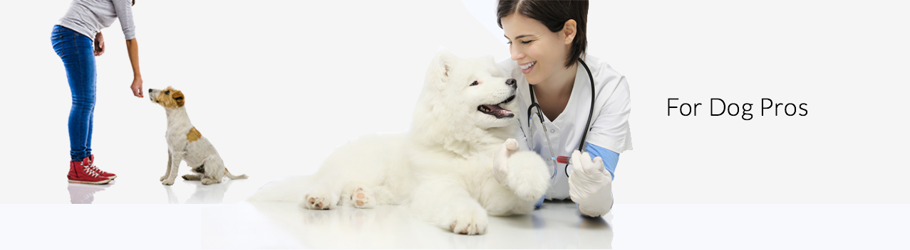 Puppy training resources for dog pros - Ultimate Puppy : Ultimate Puppy