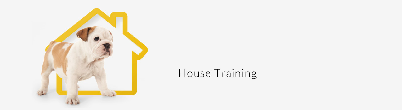 Teaching Your Puppy to ‘Hold It’ • Ultimate Puppy : Ultimate Puppy