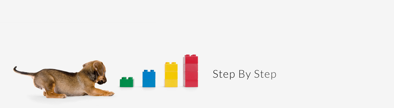 Step-by-Step Puppy Plan • Ultimate Puppy : Ultimate Puppy