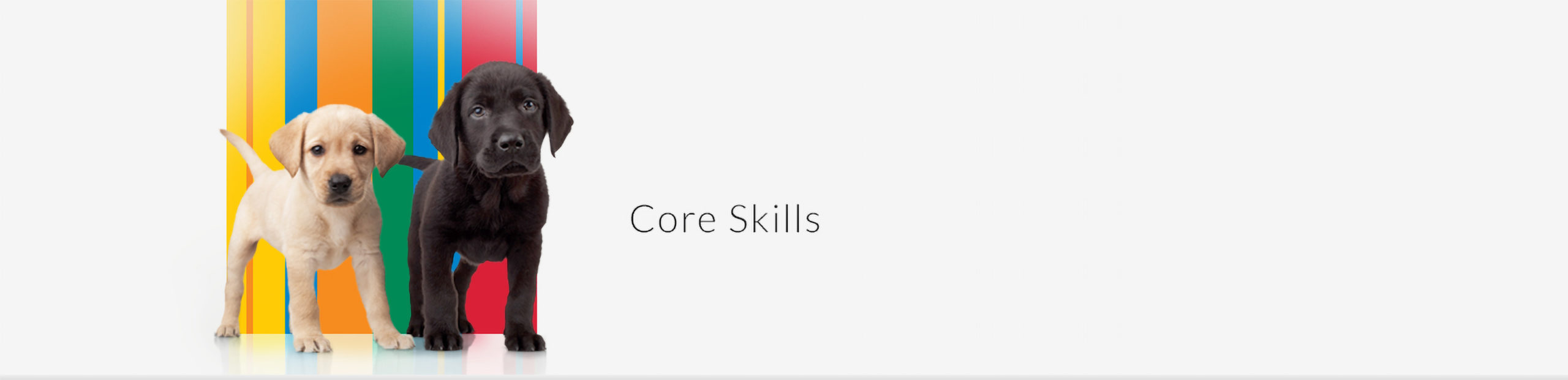 Core Skills • Ultimate Puppy : Ultimate Puppy