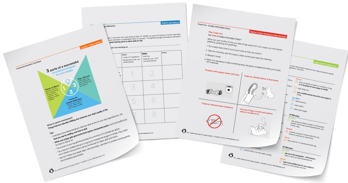 R+ dog trainer's kit includes handouts, check lists and training plans ...