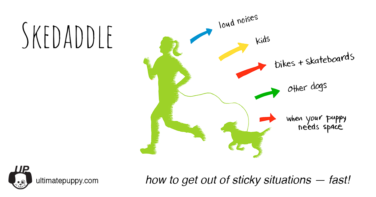 Skedaddle: an exit strategy when you need it • Ultimate Puppy ...